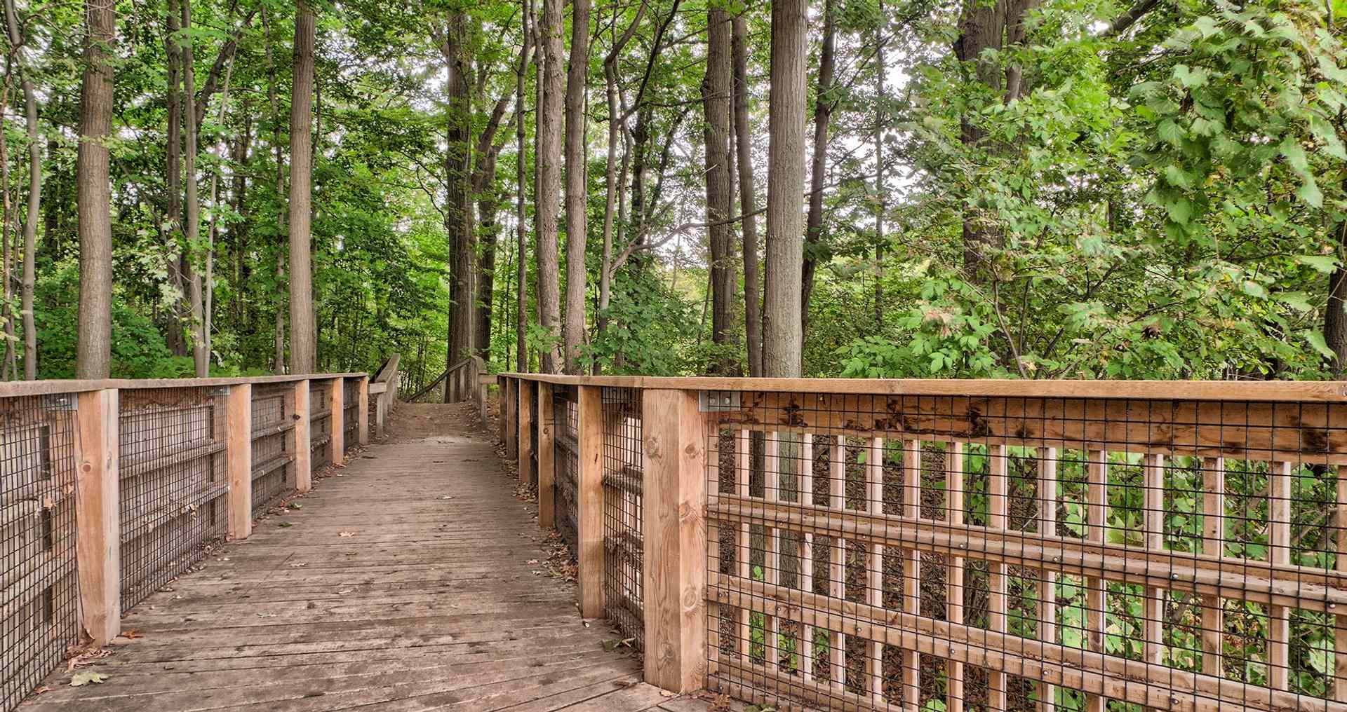 Rattray Marsh Conservation Area | Great Lakes Guide