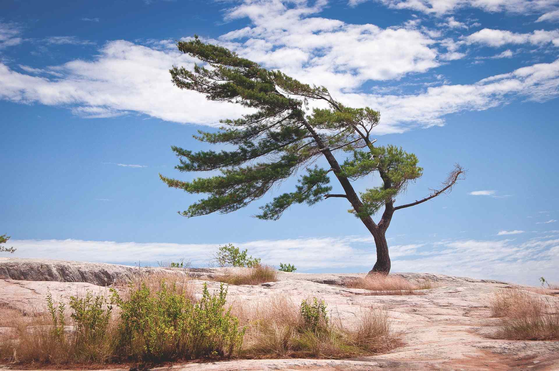 Killbear Provincial Park | Great Lakes Guide