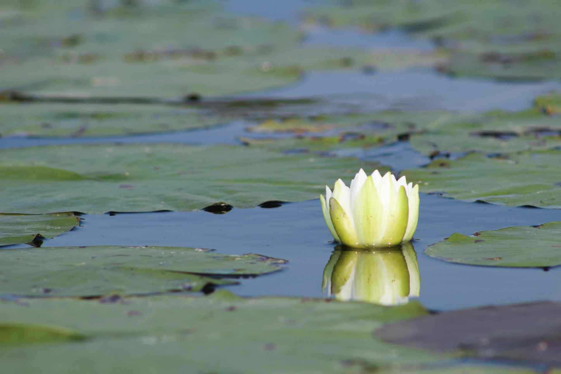 Makobe-grays River Provincial Park | Great Lakes Guide