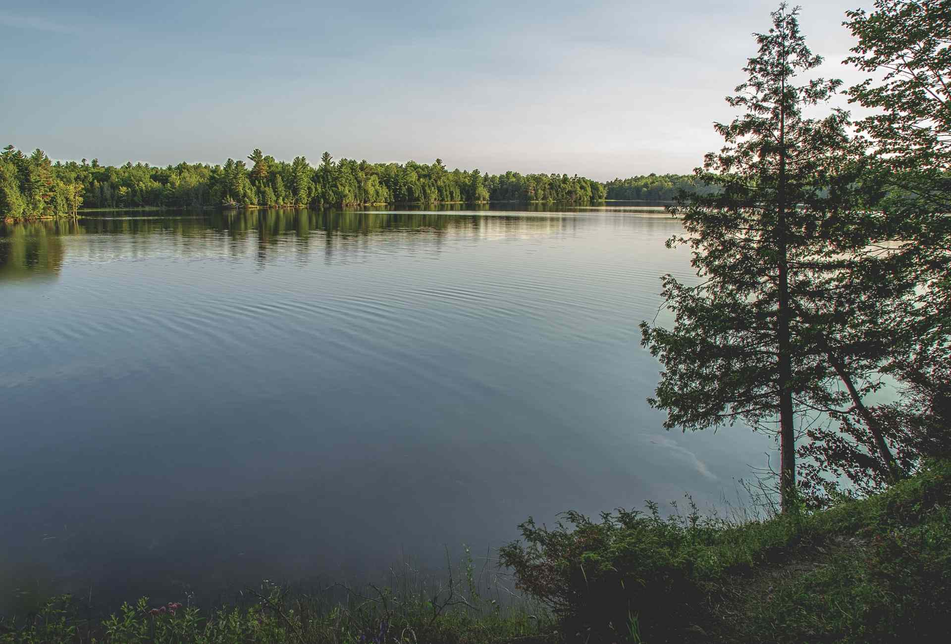 Murphys Point Provincial Park | Great Lakes Guide